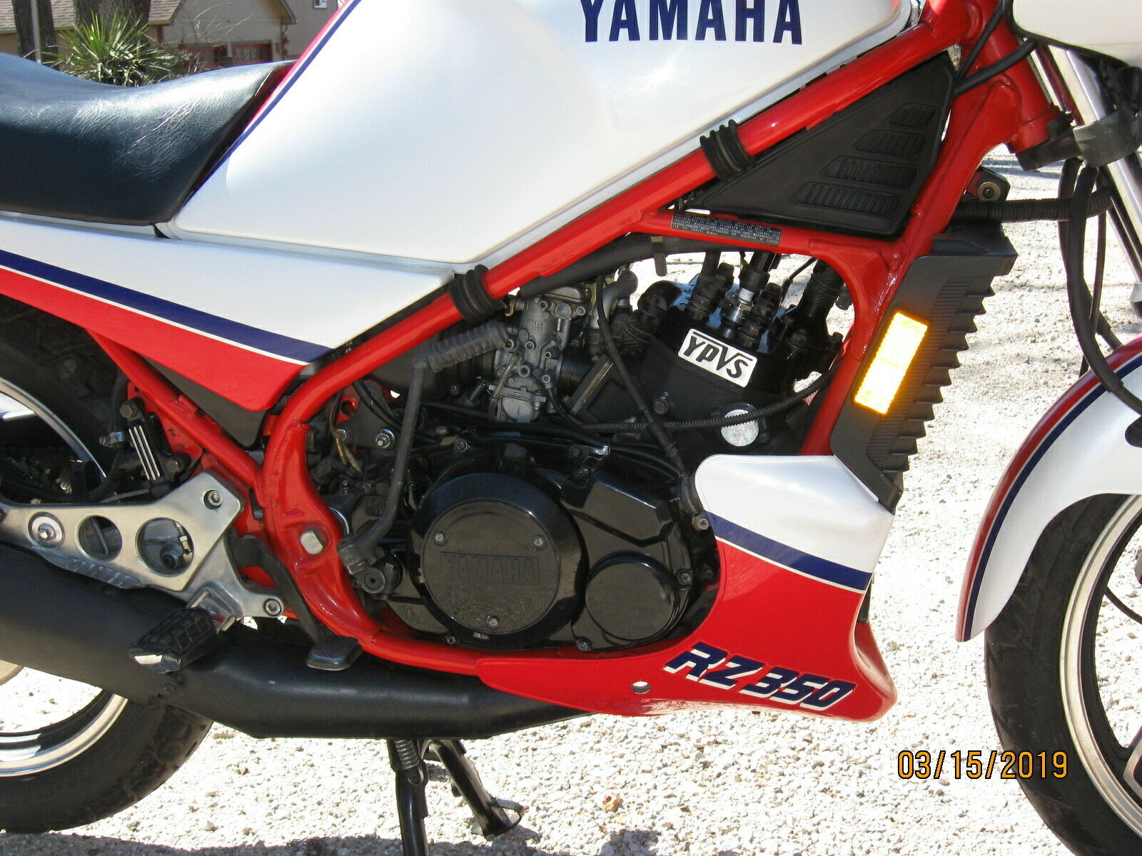 20190323 1984 yamaha rz350 right engine - Rare SportBikesForSale