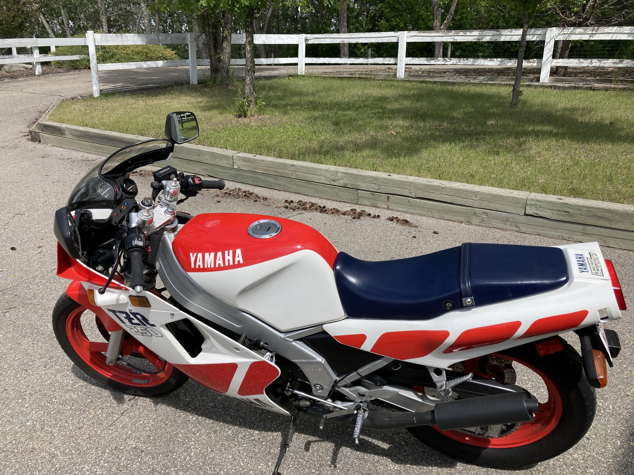 Price Update: 1987 Yamaha TZR250 for Sale - Rare SportBikesForSale